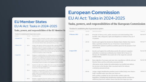 The AI Act: Responsibilities of the European Commission (AI Office ...